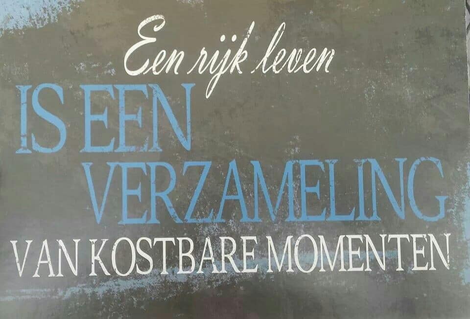 een rijk leven is